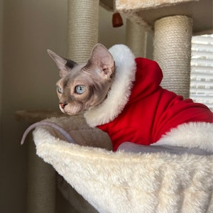 Kotomoda Shower Caps for Sphynx Cats and Small Pets 20pcs in a - Etsy