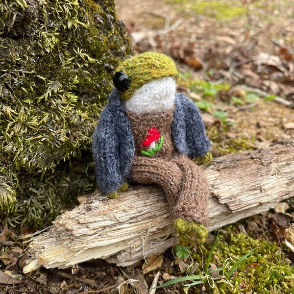 Knitted Frog in Dress Knitted Frog in Sweater Movable Froggy Frog and ...