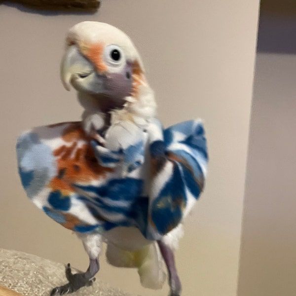 Parrot Extra Coverage Clothing, Specifically for Birds That Pluck and ...