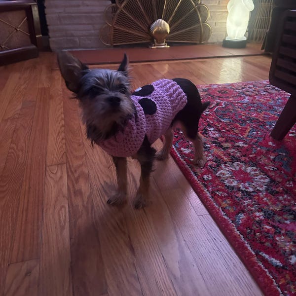 Cow Dog Sweater / Halloween Costume Available in 4 Sizes - Etsy