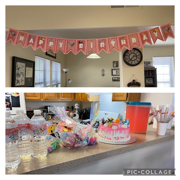 Evolutions Pink Party Decorations | Evolutions Pink Printable Birthday ...