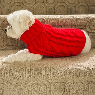 Small Dog Sweater Hand Knitted Soft, Cute and Warm Clothes Free ...