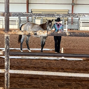 Western Custom Rodeo Queen Showmanship Horsemanship - Etsy