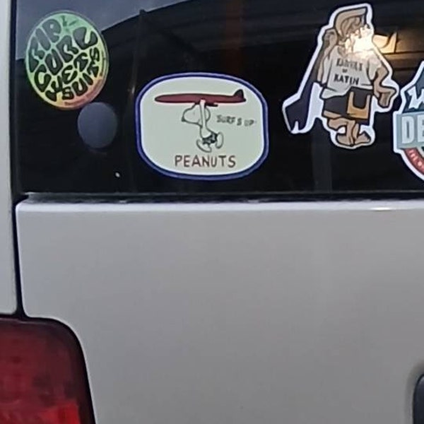 Van Life Vinyl Sticker Camper Camping Skate T5 T4 T3 T25 T1 Van Decal ...