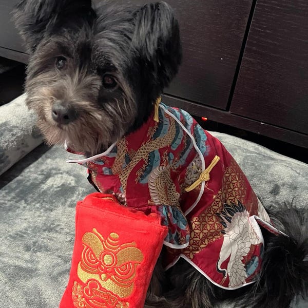 Pet Maroon Hac Patterns Ao Dai With Buttons 45B| Pet Asian Outfit ...