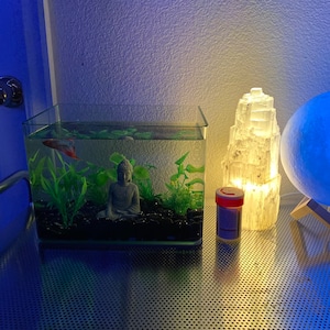 Home-protection Kit. Positive Energy-cleanse Your Home. - Etsy