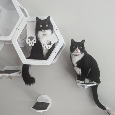 Cat Wall Mount Furniture, Cat Wall Bed, Wooden Cat Hexagon Shelves ...