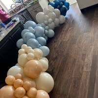 Mountain Ash Balloon Garland Kit / Eucalyptus Balloon Arch, Sage Blush ...