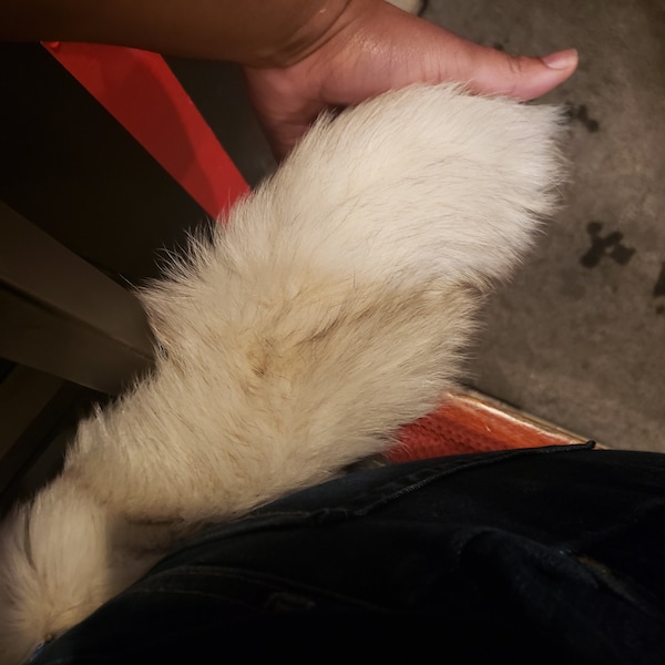 Blue Fox Tails and Silver Fox Tails - Etsy