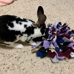Seagrass EnrichMat™ Snuffle Mat Foraging & Enrichment Mat | Etsy