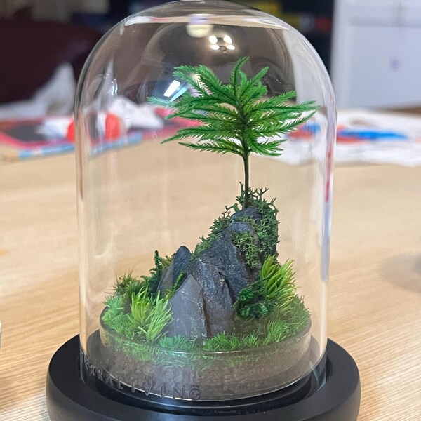 Preserved Lichen Terrarium: Ecocube S - Minimalist Glass Desk Decor by ...