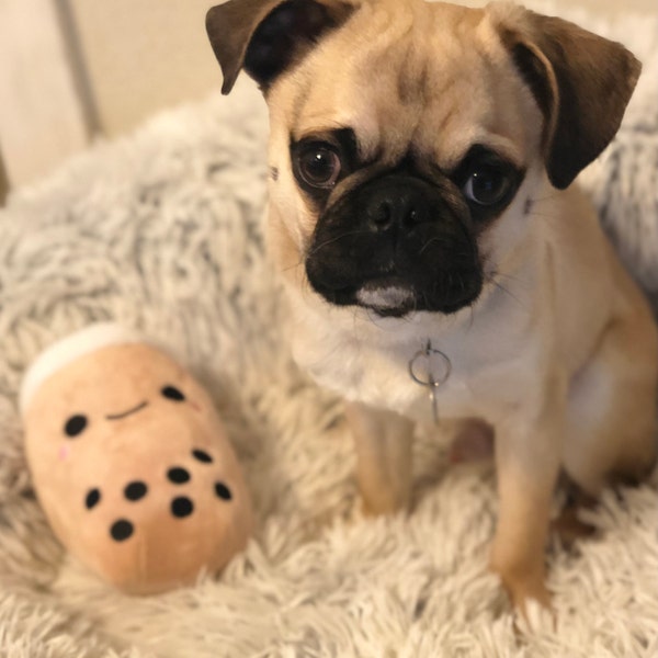 Cute Xiao Long Bao Dog Toy With Squeaker Cute Kawaii Chinese Dumpling ...