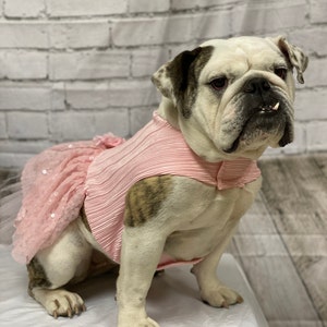 Pink Dog Dress Rose Gold Dog Dress Wedding Dog Dress Dog - Etsy