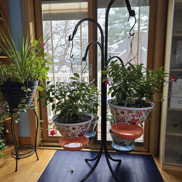 9-10” Hanging Plant Drainage | Eco-friendly Catch Trays With Chain | No ...