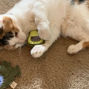 Avocado Cat Toy Organic Catnip Wool-blend Felt - Etsy