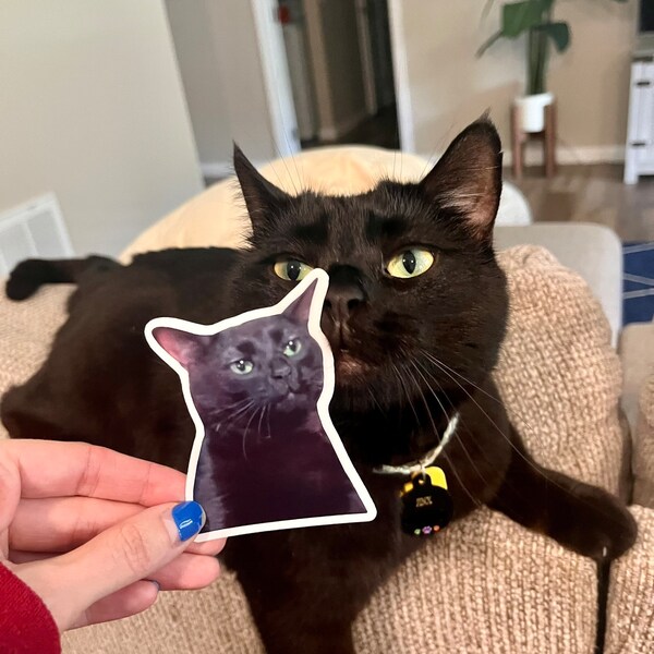 Dissociating Sticker, Zoning Out Black Cat Meme, Dissociative Sticker ...