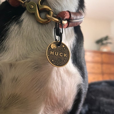 Luna Dog Tag Pet ID Tag Personalized Dog Tag Microchip Pet - Etsy