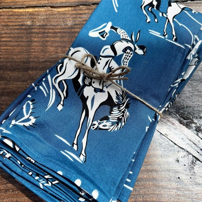 Cactus and Gekko Windsock 6 Ft Ripstop Nylon Spinnaker Cloth - Etsy