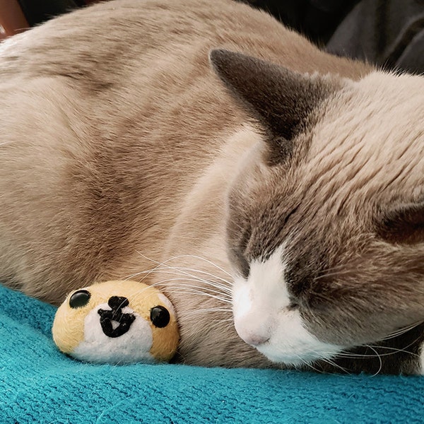 Humph Plushie - Candy Thief Pal - Etsy