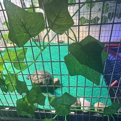 18.5 Wide X 18 Long X 10' Tall Basking Turtle Aquarium Tank Topper ...