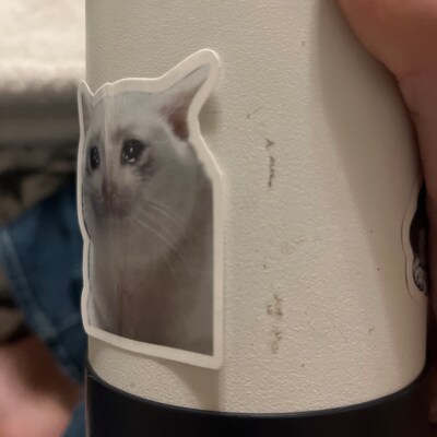 Crying Cat Sticker Pack Pack of 7 Meme Crying Cat Stickers - Etsy