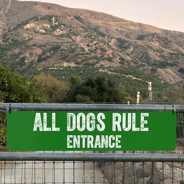 Custom Acrylic Sign for Business, Logos, Store Signage. Personalized ...