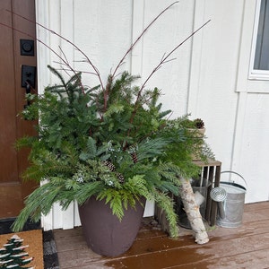 Juniper Fresh Cut Oregon Juniper Box Christmas Wedding Fresh Cut ...