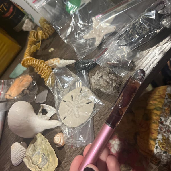 Mini Wet Specimen Mystery Box Fluid Preserved Taxidermy Oddities ...