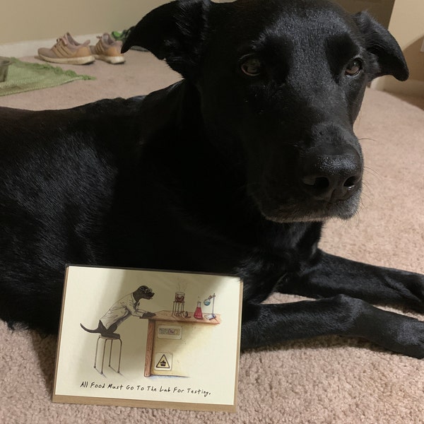 All Food Must Go to the Lab for Testing Card - Black Lab Card - Black ...