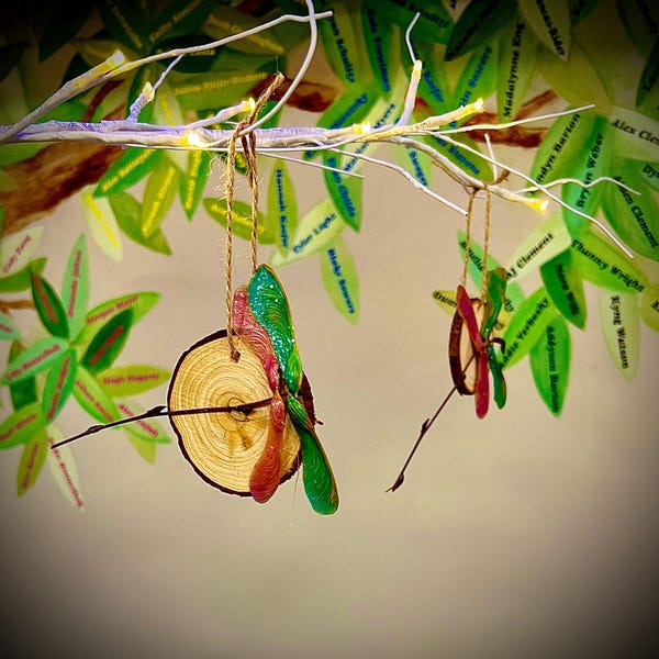 Dried Crepe Myrtle Seed Pods in Assorted Sizes, Natural Dried Mini ...