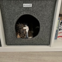 Felt Cat Cave Fits Into Ikea Expedit and Kallax, Felt Cat Cube, Cat Bed ...