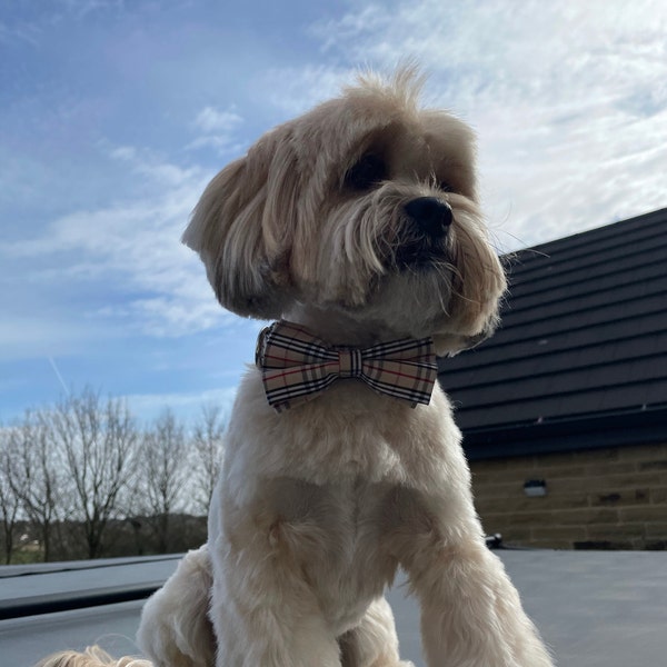 Baby Boho Teepee Teepee Tent for Kids, Kids Playtent Teepee Tent Set ...