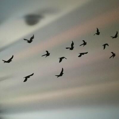 Bird Wall Art, Brass 14 Pieces, Black, Metal, Copper, Steel Birds, Wall ...