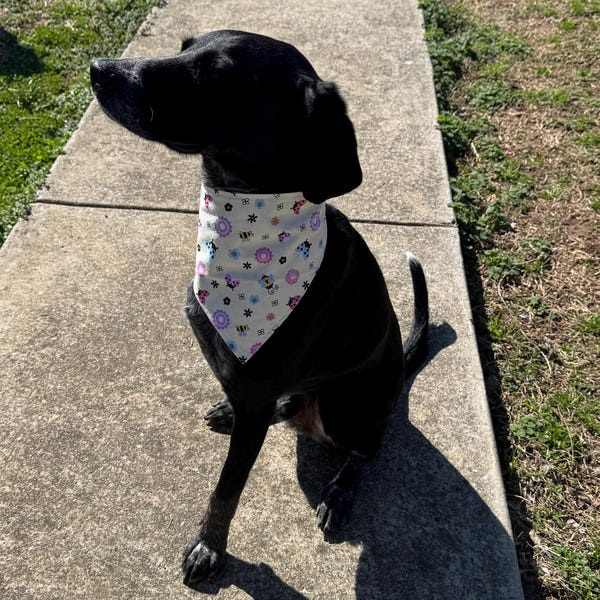 Dog Bandana, Blue Bees, Elastic Pet Bandana, Scrunchie Dog Bandana ...