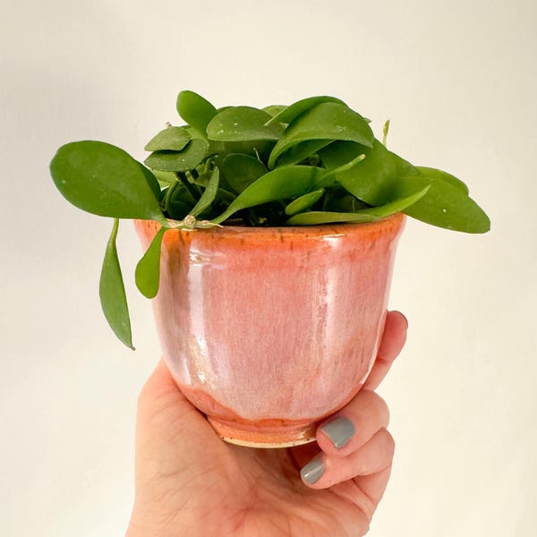 6” Ceramic Planter | Handmade Pottery, Plant Pot, Pink Planter, Orange ...