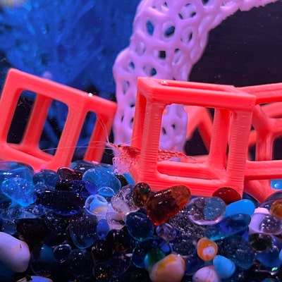 Aquarium Archway Bridge Moss Nano Fish and Shrimp Hide Aquarium or ...