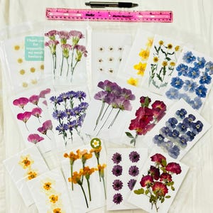 A Set of 8 Pressed Flower Bookmarks, Gift Idea for Book Lovers, Real ...