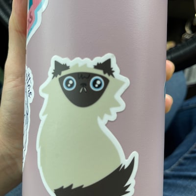 Himalayan Cat Sticker or Magnet Persian Cat Vinyl Weatherproof Decal 3 ...