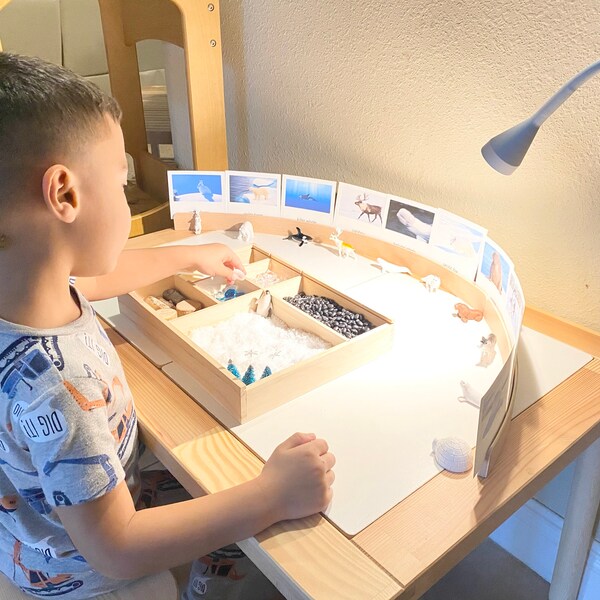 ORGANS, Halloween, Montessori Three Part Cards, Safari LTD Toobs, Flash ...