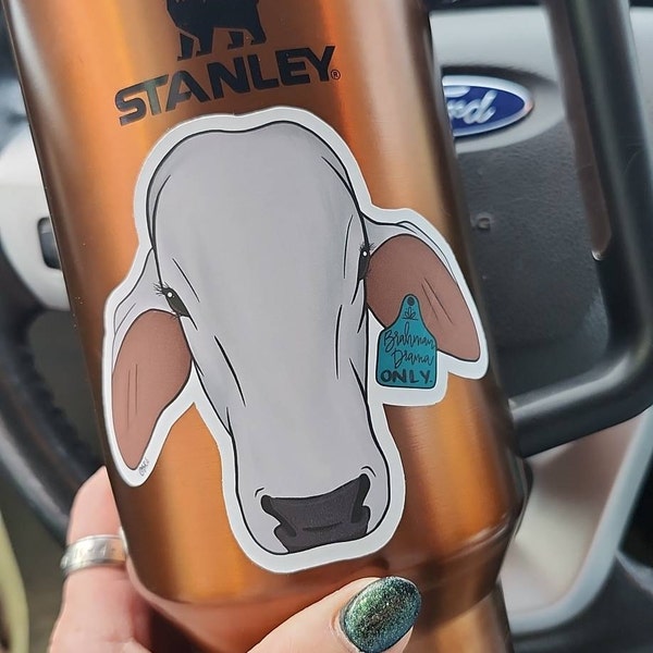 Betsy Brahman Waterproof Cow Sticker - Etsy