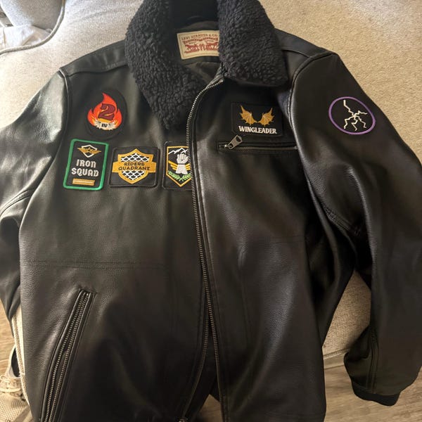 Fourth Wing Embroidered Patch, Flight Jacket Cosplay Patches, Dragon ...