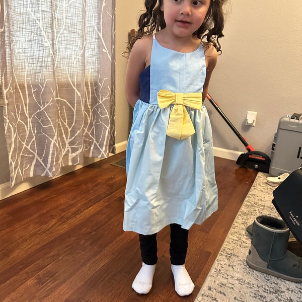 Elsa Frozen 2 Travel Vest - Etsy
