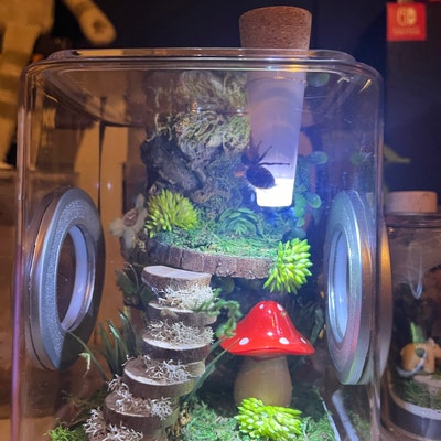 Jumping Spider Enclosure 5x5x9 Spider House, Spider Tank, Spider ...