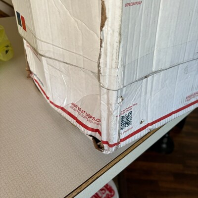 Aglaonema 'bamboo' Sp. Variegated Chinese Evergreen Live Indoor ...