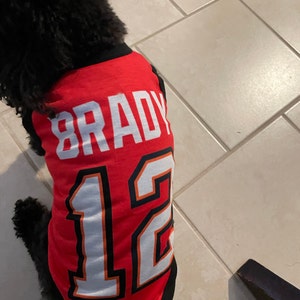 Neon Purple Triangle Bikini Set Two Piece Swimsuit Women | Etsy