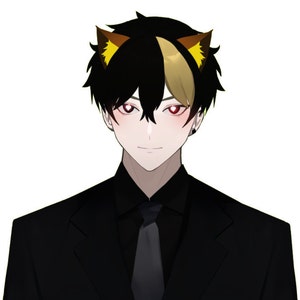 Customizable Vtuber 4 Different Hair Styles, 3 Different Cloth Style, 8 ...