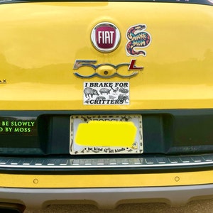 No Bull Front License Plate Western Bull Horns Stars Car - Etsy