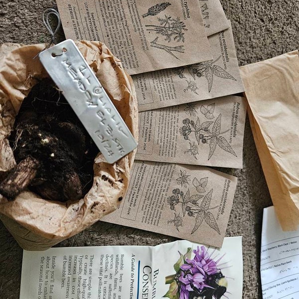 Flash Cards to Learn Native Plant Names, Learn Native Plants of the ...