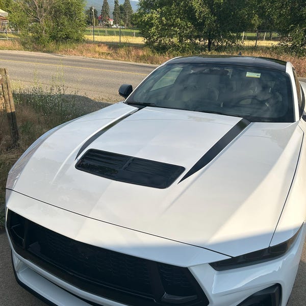 2015-2020 Ford F-150 Paramount Raptor Style Aftermarket Grille Letter ...