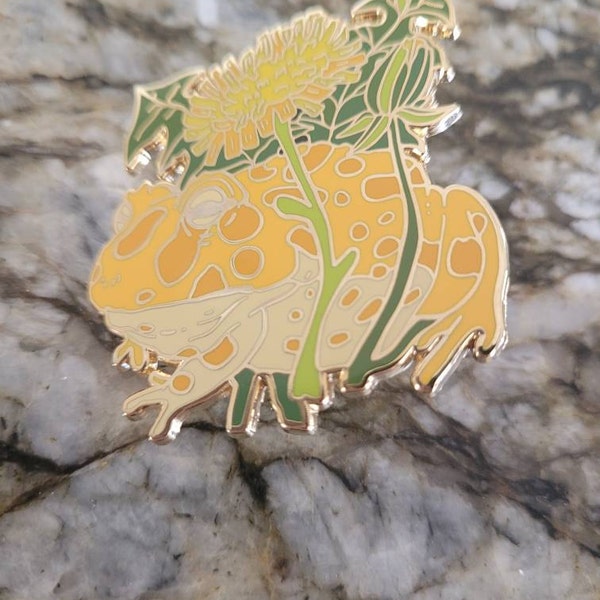 Pacman Frog : Herpetoflora Enamel Pin Collection - Etsy